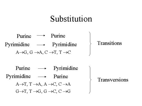 Substitution