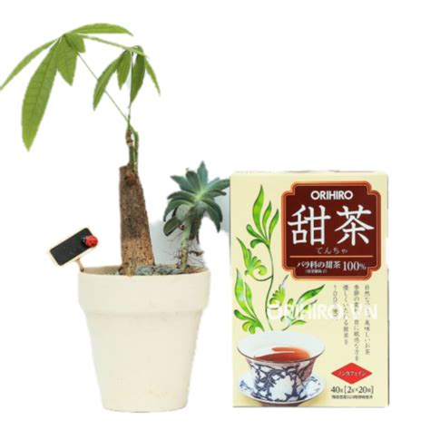 Orihiro Việt Nam Trà Tencha Orihiro