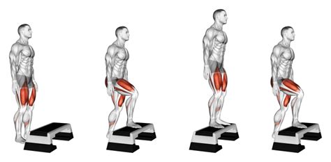 Step Ups Benefits Muscles Worked And More Inspire Us