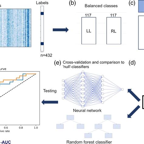 A Example Data Set For One Of The Two Metrics Analyzed Degree Download Scientific Diagram