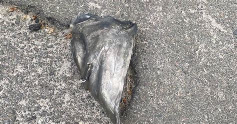 Обстрелы в Киевской области Атака дронами на Киевщину Цензор НЕТ