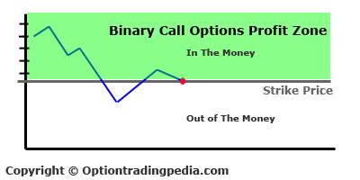 What Are Binary Options By OptionTradingpedia Com