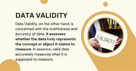 Data Reliability Vs Validity Key Differences And Importanc