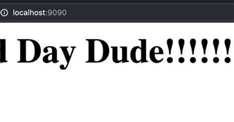 Programming For Beginners NGINX Try Files Example