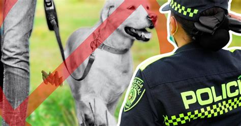 Cuáles Son Las Sanciones Por Infringir El Código Nacional De Seguridad Y Convivencia En Bogotá