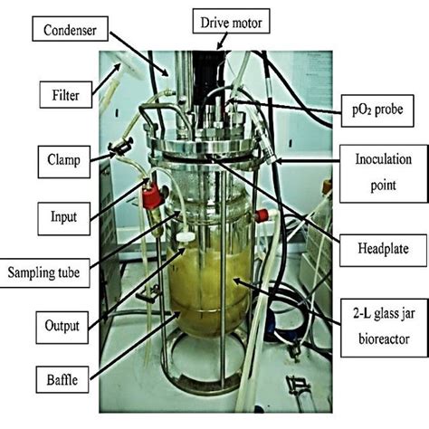 The Oscillatory Baffled Reactor Design [4] Download Scientific Diagram
