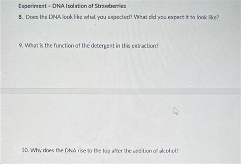 Solved 9 What Is The Function Of The Detergent In This