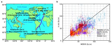 Analysis Of Experimental Data A In Situ Experiment Tracks B The Download Scientific