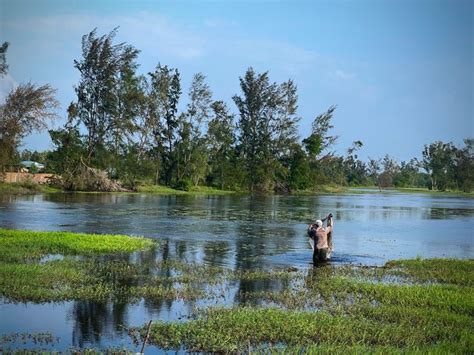 Pin Di Chiêu Bình Yên
