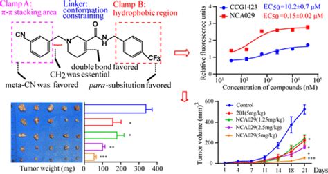 Discovery Of A Novel Series Of Homo Sapiens Caseinolytic Protease P Agonists For Colorectal