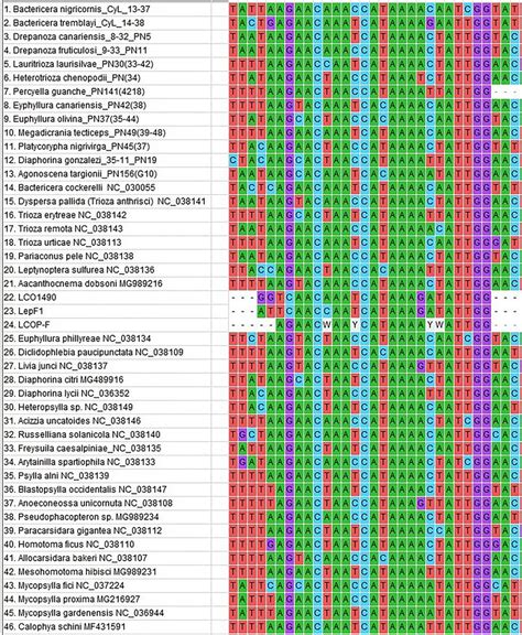Snap Shot Of The Multiple Alignment Of The Forward Primer Binding Site Download Scientific