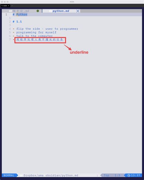 How Can I Remove Underlining Chinese Characters In Lazyvim Rneovim
