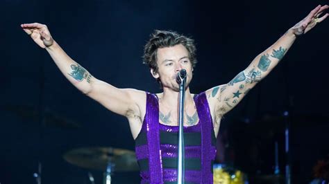 Harry Styles Hit In Face With Object During Vienna Show