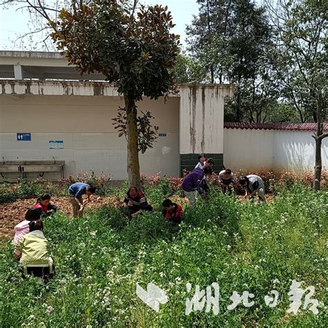 竹溪县前进小学从点滴小事做起加强能力作风建设 湖北日报新闻客户端