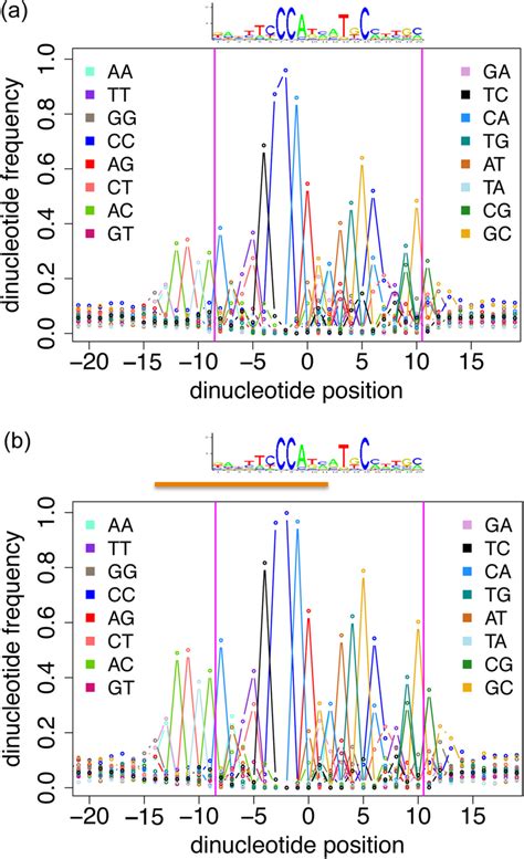 Case Study Of Znf143 Dna Binding Preferences The Sequence Logo