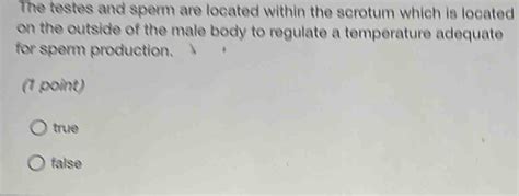Solved The Testes And Sperm Are Located Within The Scrotum Which Is