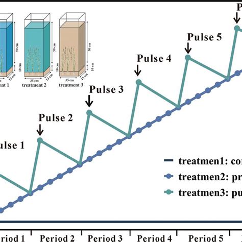 Schematic Diagram Of The Experimental Setup The Experiments Involved Download Scientific