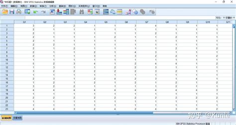 Spss—信度分析 知乎