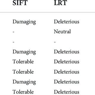 List Of The 8 Novel Variants And Their Possible Pathogenicity Analysis Download Scientific