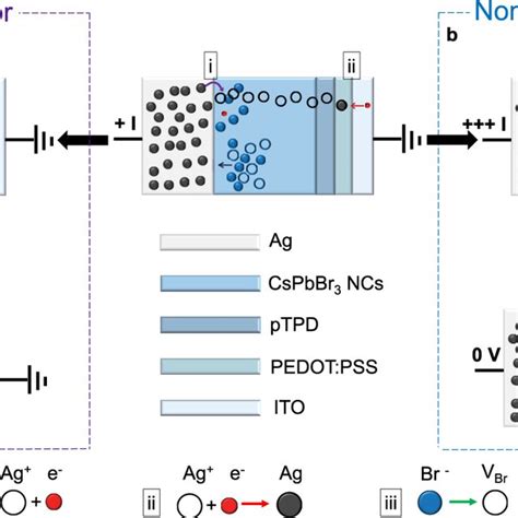 Reconfigurable Halide Perovskite Memristor The Device Structure Download Scientific Diagram