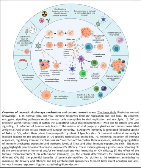 Oncolytic Virus Research Group Research Groups Directories