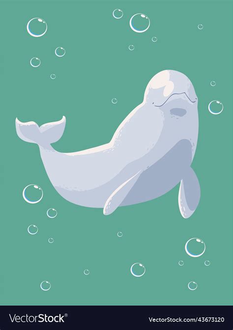 Beluga Whale With Bubbles Royalty Free Vector Image