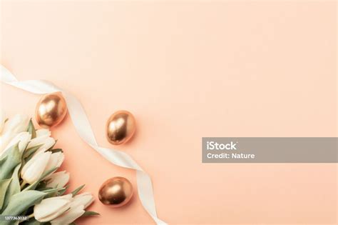해피 부활절 장식에서 파스텔 핑크 배경에 봄 흰색 튤립 황금 계란 포일 미니멀 한 계란 디자인 현대 최고 보기 배너 디자인 0명에 대한 스톡 사진 및 기타 이미지 Istock