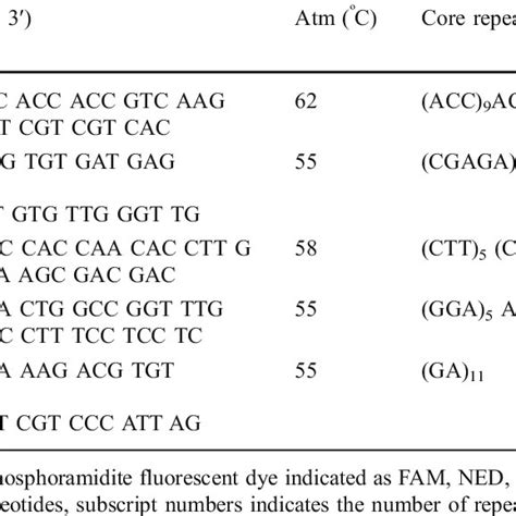 Characteristics Of New Polymorphic Ssr Markers Download Table