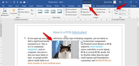 How To Resize An Image In Word OfficeBeginner