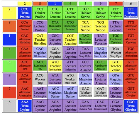The Ramblings Of The Rose Amino Acid And Dna Codon Table Within The I Ching And Its Shapes