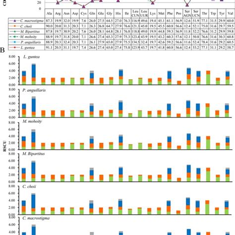 Codon Distribution A And Relative Synonymous Codon Usage B Of PCGs Download Scientific