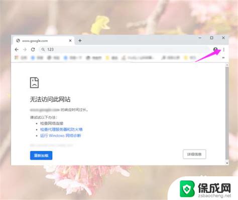 chrome浏览器关闭提示 谷歌浏览器如何关闭网页弹出通知 保成网