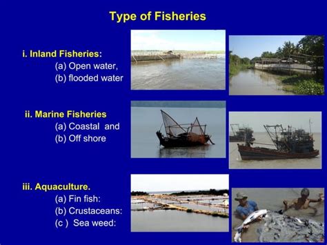 Fisheries And Finfish Aquaculture In Myanmar By San Aung Nilar Shein