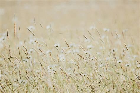 Multogram Друзья спешим сообщить небольшую статистику нашего проекта Мультиратура На