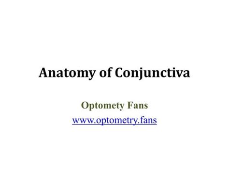 Anatomy Of Conjunctiva Types Layers Pptx Pptx