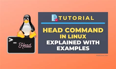 7 Ways To Use The Linux Head Command