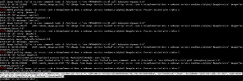 Pull Image Failed Failed To Exec Command Sudo E Binbash C Env