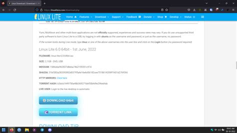 Linux Lite An Easy Installation Guide For Beginners LinuxForDevices