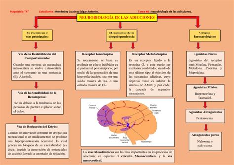 Mapa Conceptual De Adicciones Ajore
