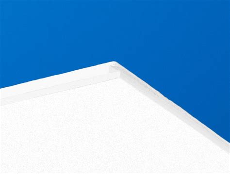 Ecophon Focus Ds Grayking Interior Supply