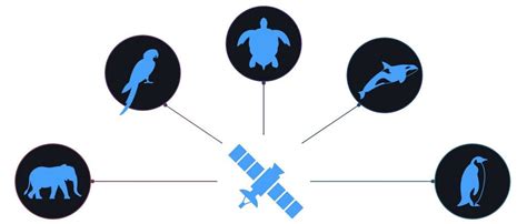 Replacing If Else Statements With Enums In Java A Cleaner Approach
