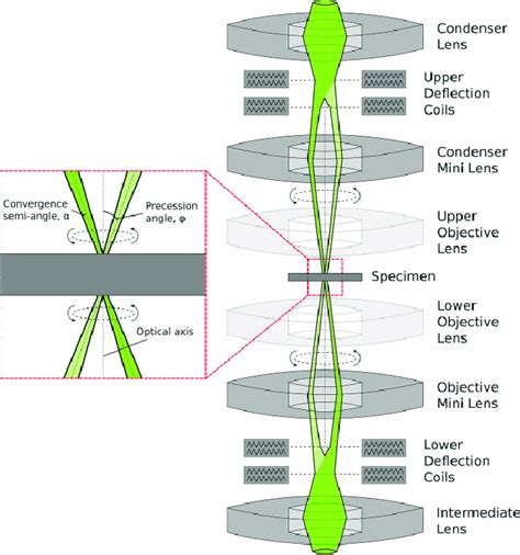 Schematic Of A Precessed Stem Probe With The Objective Lens Turned Off
