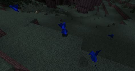 Hogwarts BuildServer BUILDER WANTED Minecraft Map