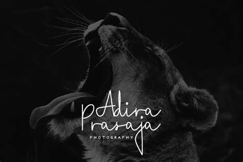 download pep talk demo font