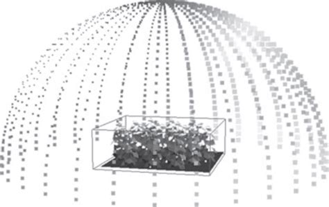Quantitative Plant L Cucumber