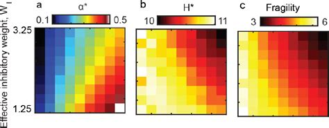 Figure 2 3 From Impact Of Excitation Inhibition Balance Imbalance On