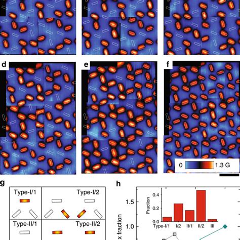 Vortex Lattice Evolution With Magnetic Field A F Vortex Lattice Download Scientific Diagram