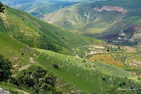 Discover The Beauty Of Wadi Al Zuqalab Irbid Deir Abi Saeed