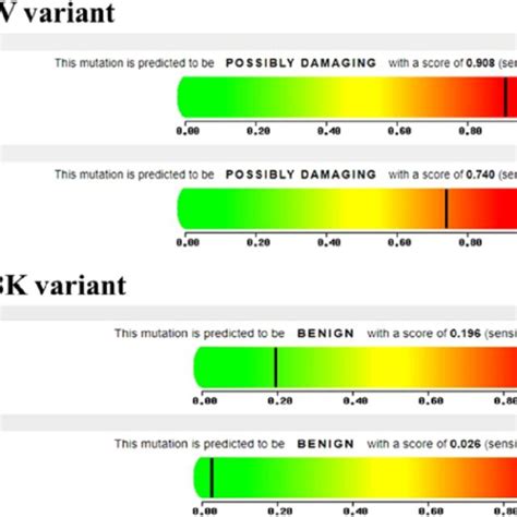 Polyphen 2 Scores For Ddr2 And Cdk12 Variants Generated By Download Scientific Diagram