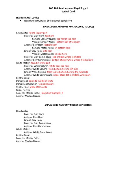 BIO 168 Spinal Cord BIO 168 Anatomy And Physiology 1 Spinal Cord LEARNING OUTCOMES Identify